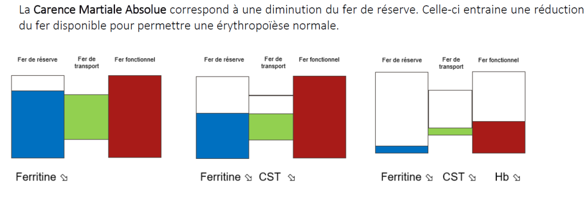 Manuel pratique d'oncologie - BIOLOGIE MÉDICALE - FLASH labo ...