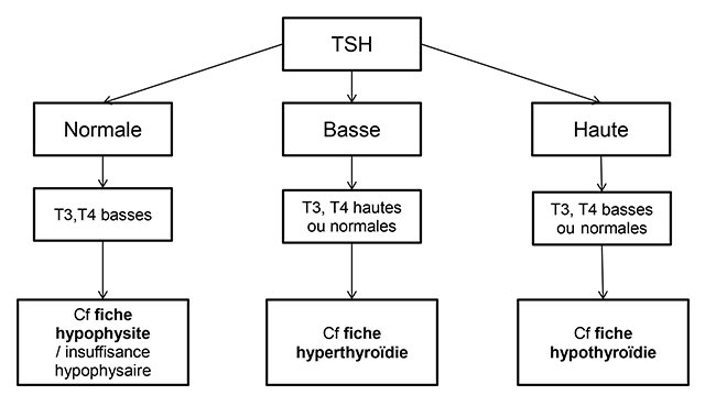 Manuel pratique d'oncologie - IMMUNOTHÉRAPIE - Conduite à tenir devant ...